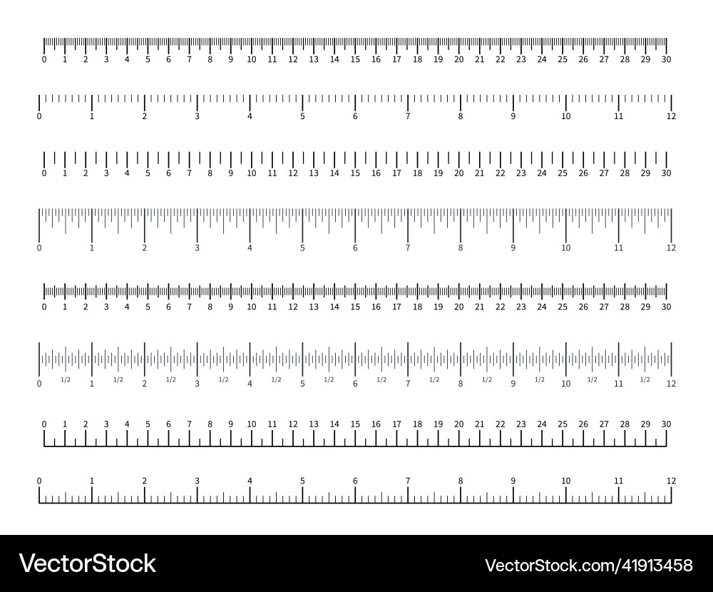 Ruler scales different measuring units rule Vector Image