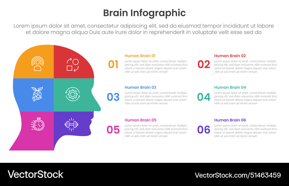 Human brain infographic template banner Royalty Free Vector