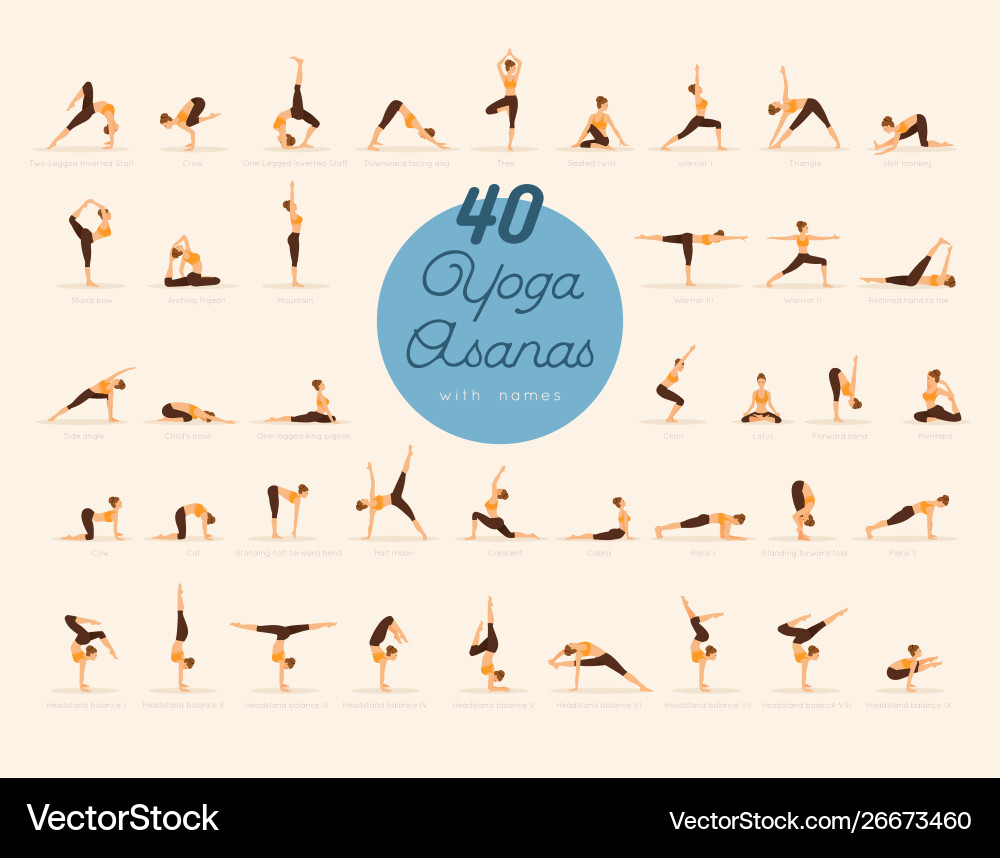 40 Yoga Poses with Names Royalty Free Vector Image