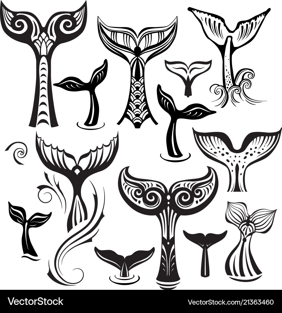 Set of stylized tails a whale Royalty Free Vector Image