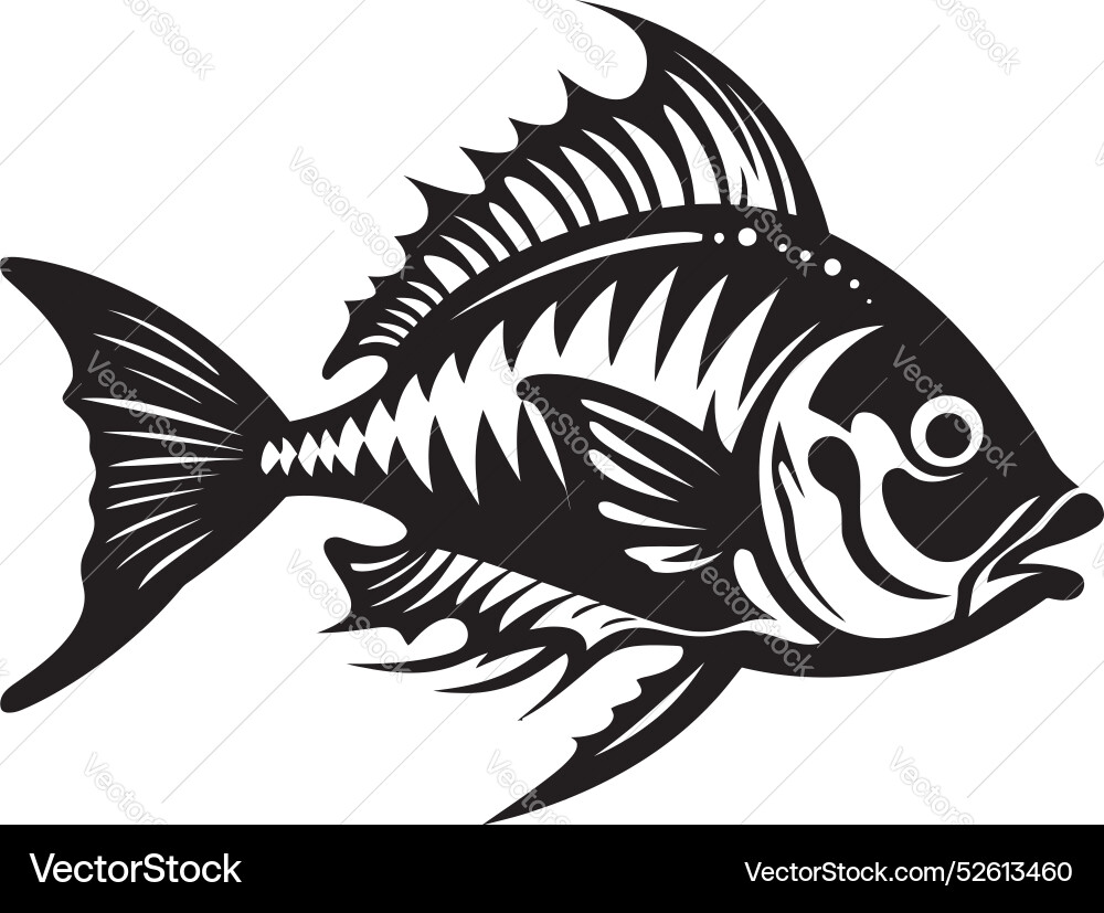 Vivid visions tropical river fish imagery Vector Image
