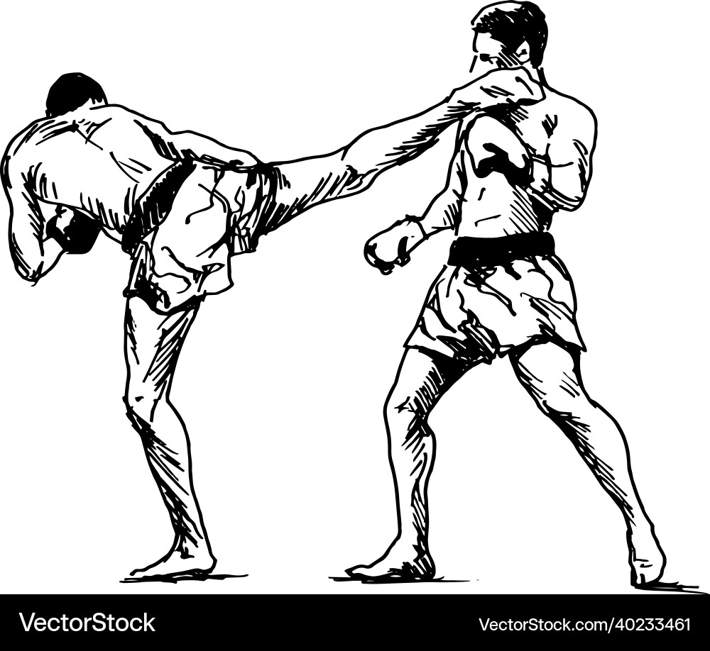 Hand sketch of two fighters Royalty Free Vector Image