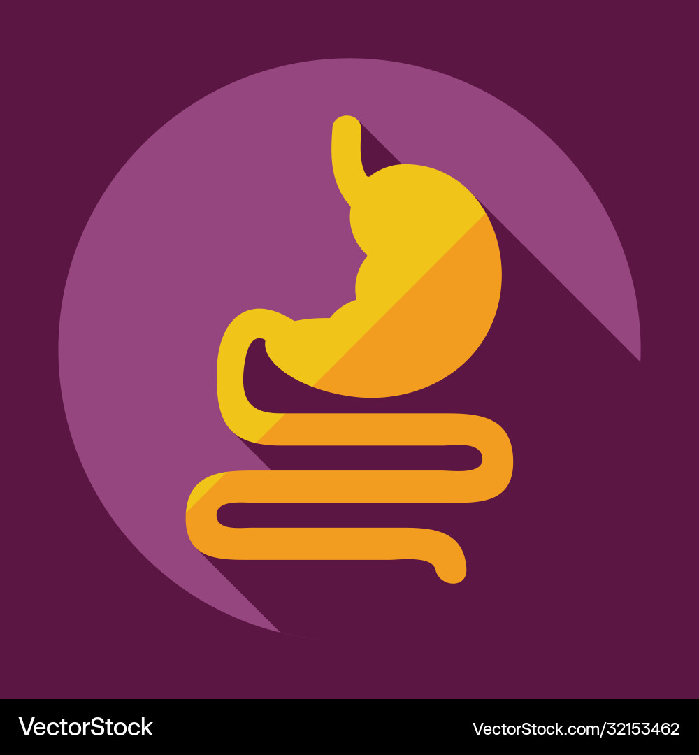Flat modern design with shadow icons stomach Vector Image