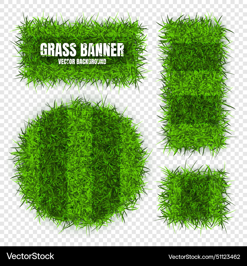 Green grass banners background field meadow Vector Image