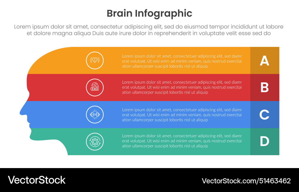 Human brain infographic template banner Royalty Free Vector