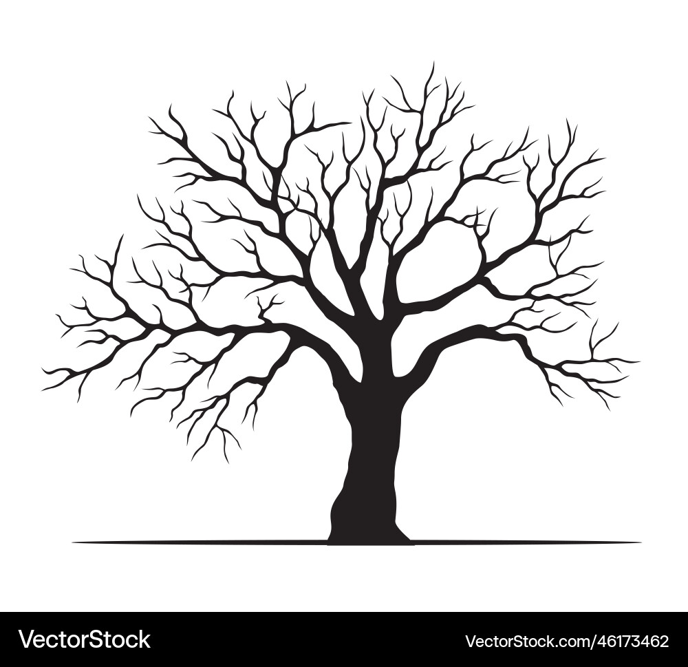 Shape of black tree with leaves outline Royalty Free Vector
