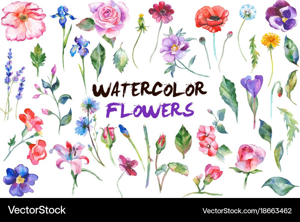 Watercolor flowers Royalty Free Vector Image - VectorStock
