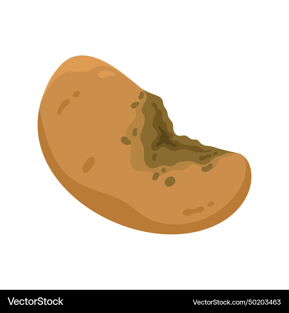 Damaged rotten potato Royalty Free Vector Image