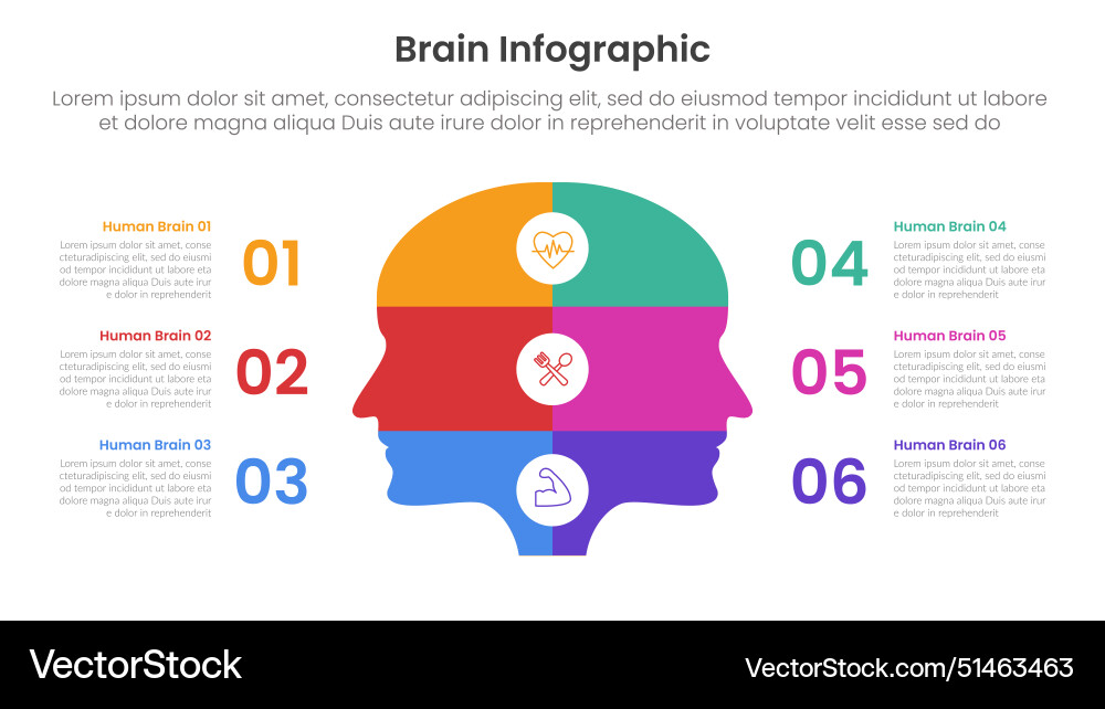 Human brain infographic template banner Royalty Free Vector