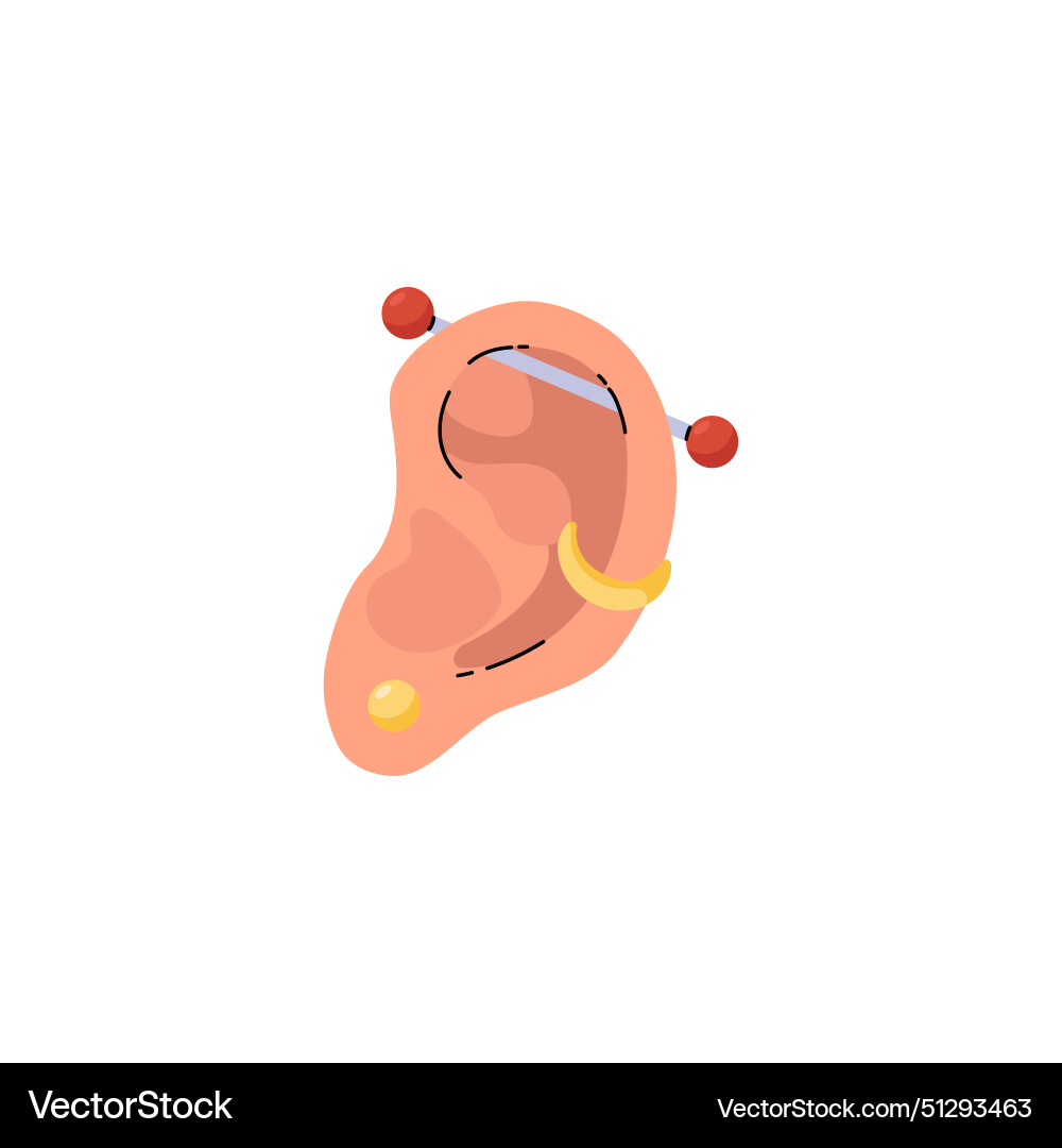 Icon of round earrings silver stud Royalty Free Vector Image