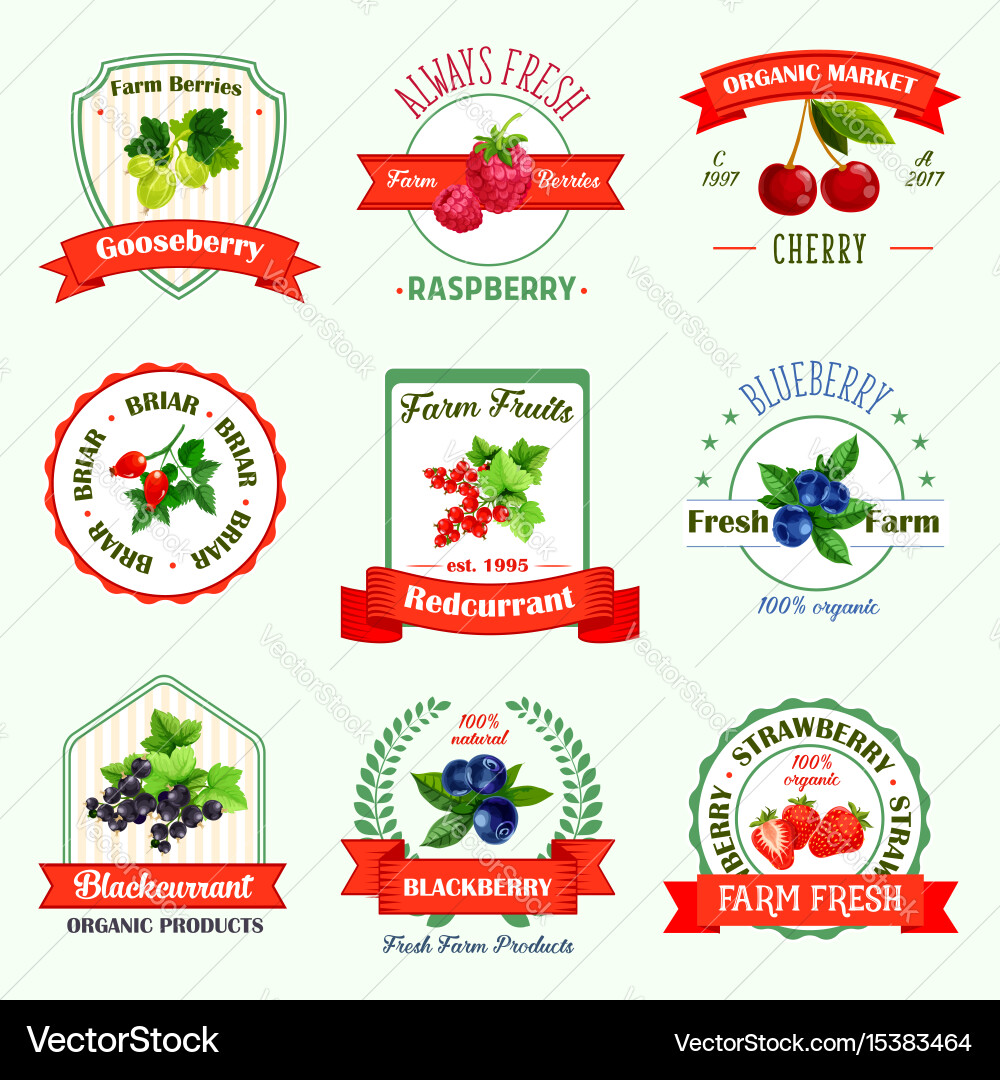 Berries icons for berry product labels Royalty Free Vector