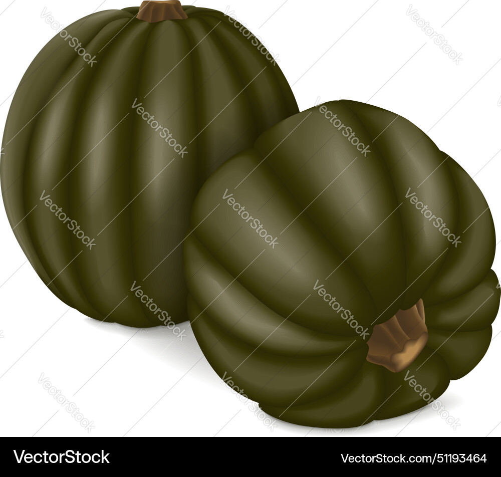Group of zapallo macre squash Royalty Free Vector Image