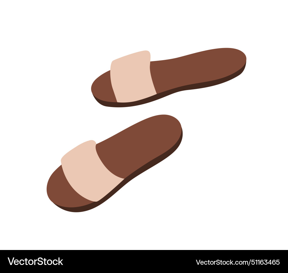 Modern summer slide sandals for women open Vector Image