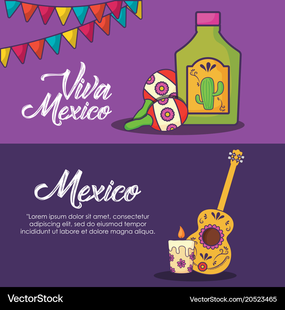 Viva mexico design Royalty Free Vector Image - VectorStock