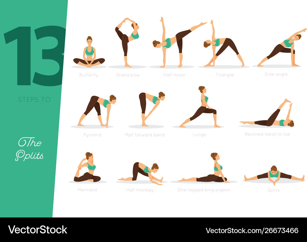 13 steps to splits Royalty Free Vector Image - VectorStock