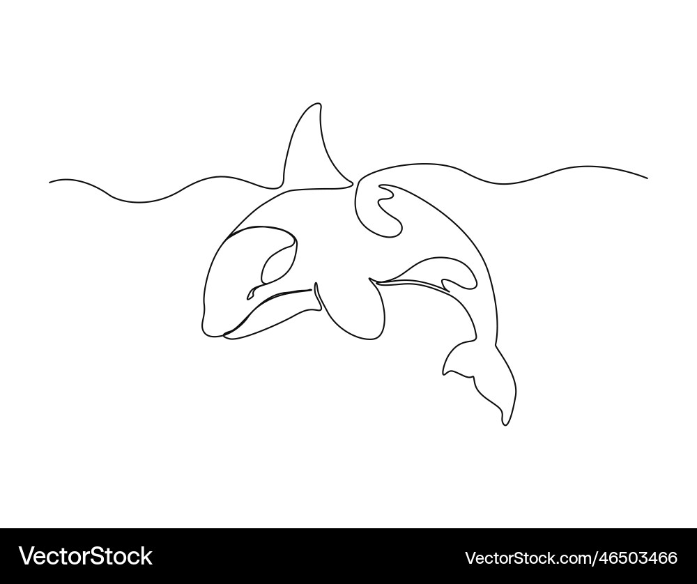 Continuous one line drawing of killer whale Vector Image
