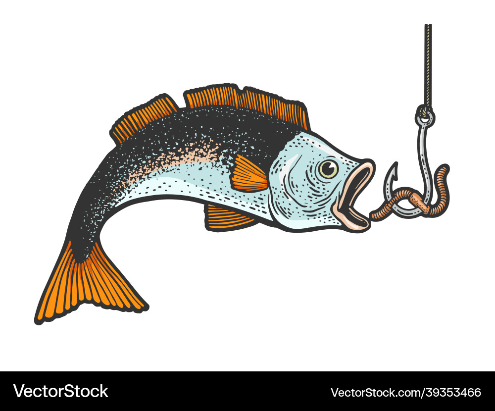 Fish catch bait sketch Royalty Free Vector Image