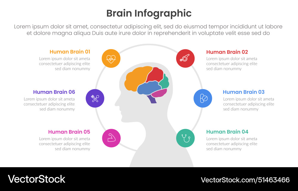 Human brain infographic template banner Royalty Free Vector