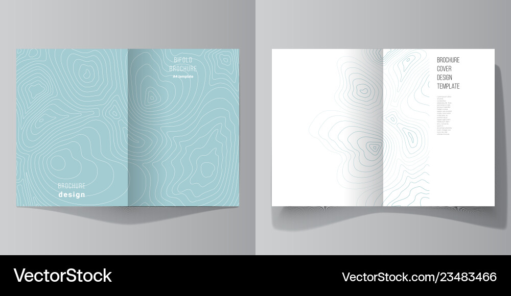 Layout of two a4 format modern cover Royalty Free Vector