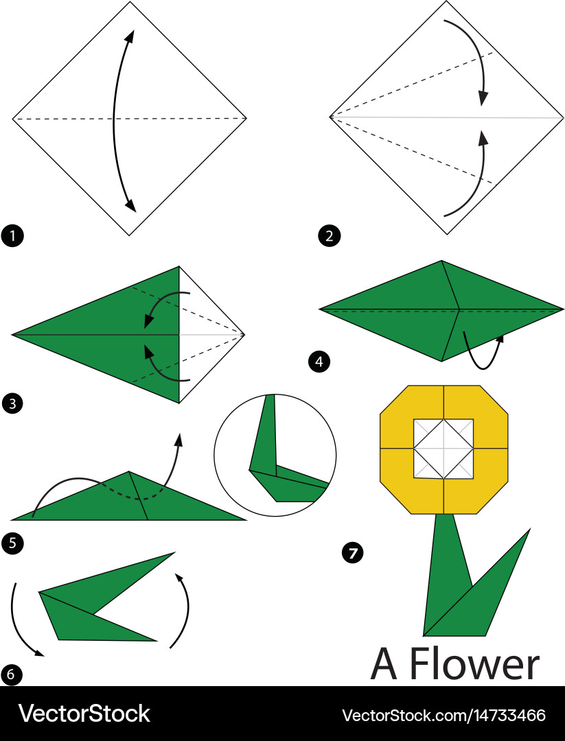 Step by instructions how to make origami Vector Image