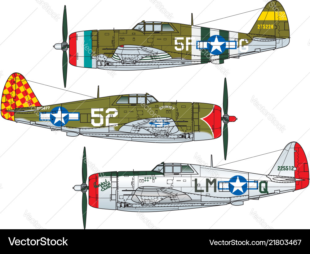Aircraft color scheme Royalty Free Vector Image