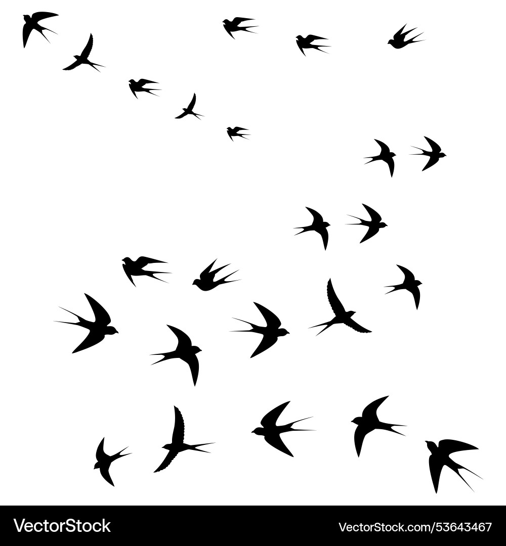 Birds fly in a school Royalty Free Vector Image