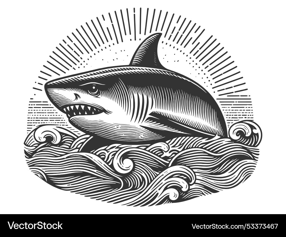 Shark emerging ocean waves Royalty Free Vector Image