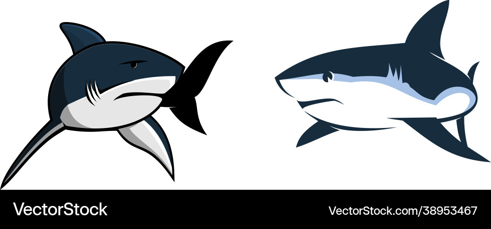Shark Royalty Free Vector Image - VectorStock