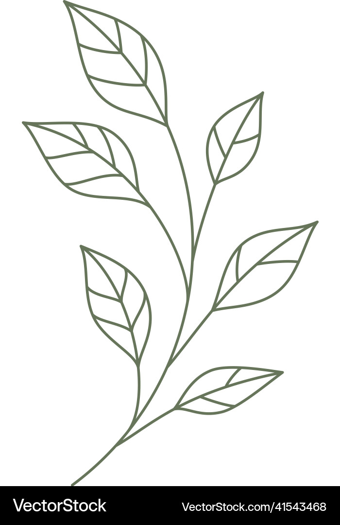 Monochrome tree branch with natural leaves linear Vector Image
