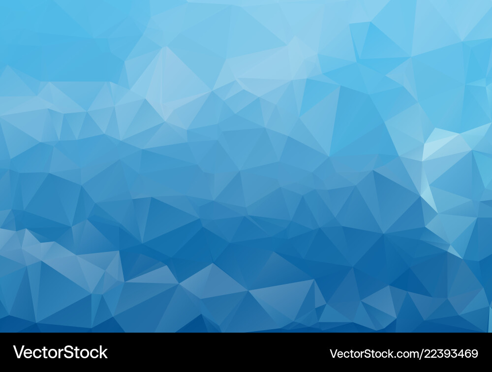 Polygon abstract modern polygonal geometric Vector Image