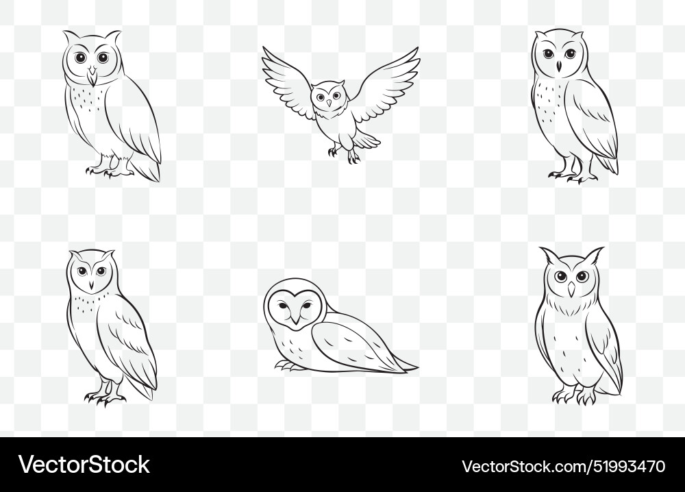 Print elegant owl line art set Royalty Free Vector Image