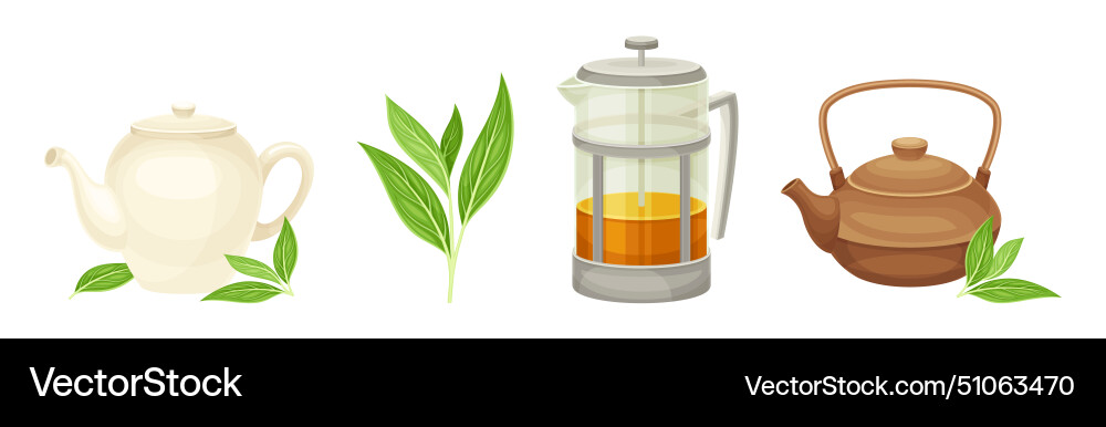 Tea brewing with teapot and french press Vector Image