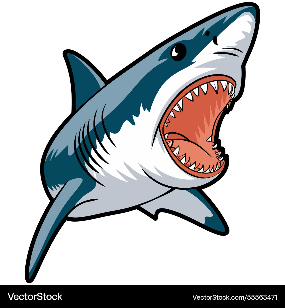 Bold shark design Royalty Free Vector Image - VectorStock