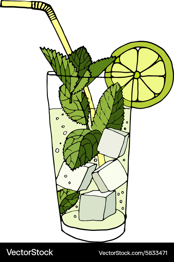 Mojito1 Royalty Free Vector Image - VectorStock