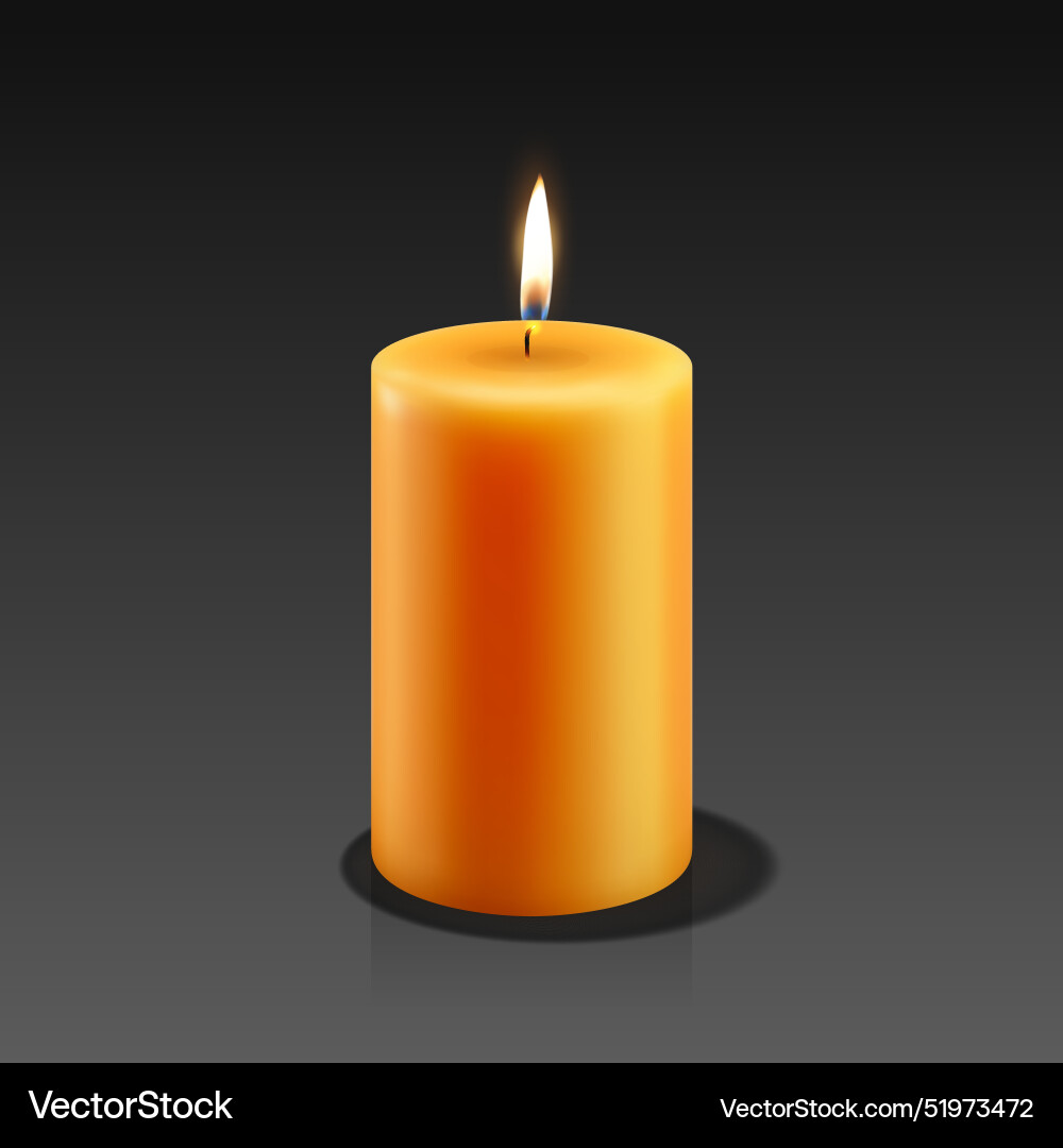 3d realistic paraffin wax burning party spa Vector Image