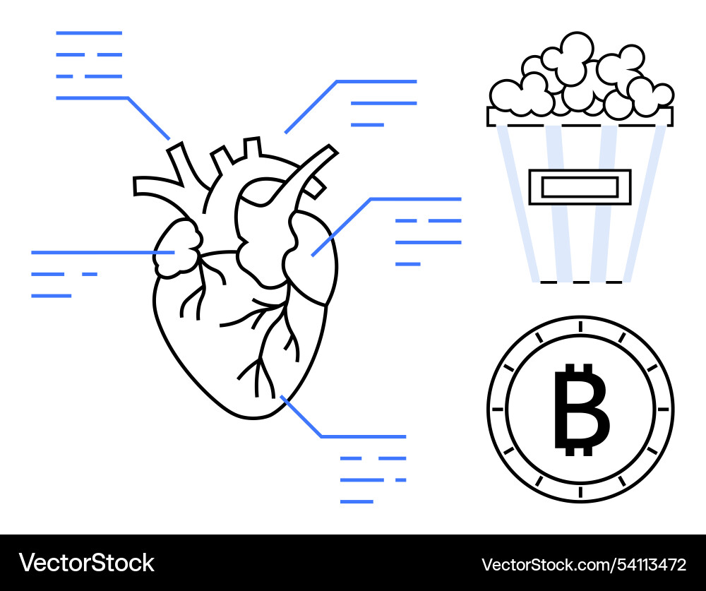 Annotated human heart diagram with popcorn bucket Vector Image