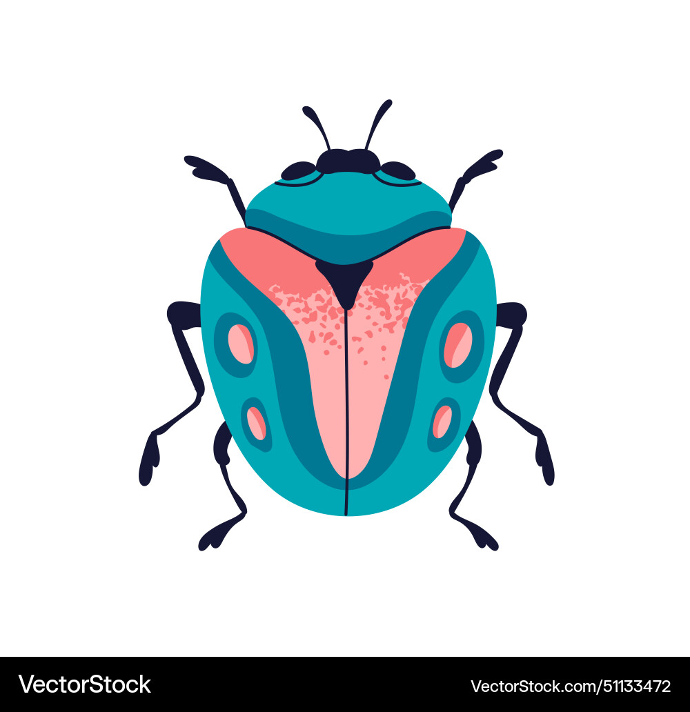 Fancy beetle fiction bug species top view Vector Image