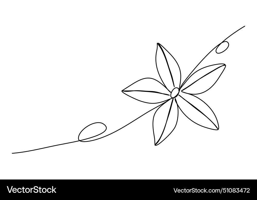 Flower one line drawing Royalty Free Vector Image