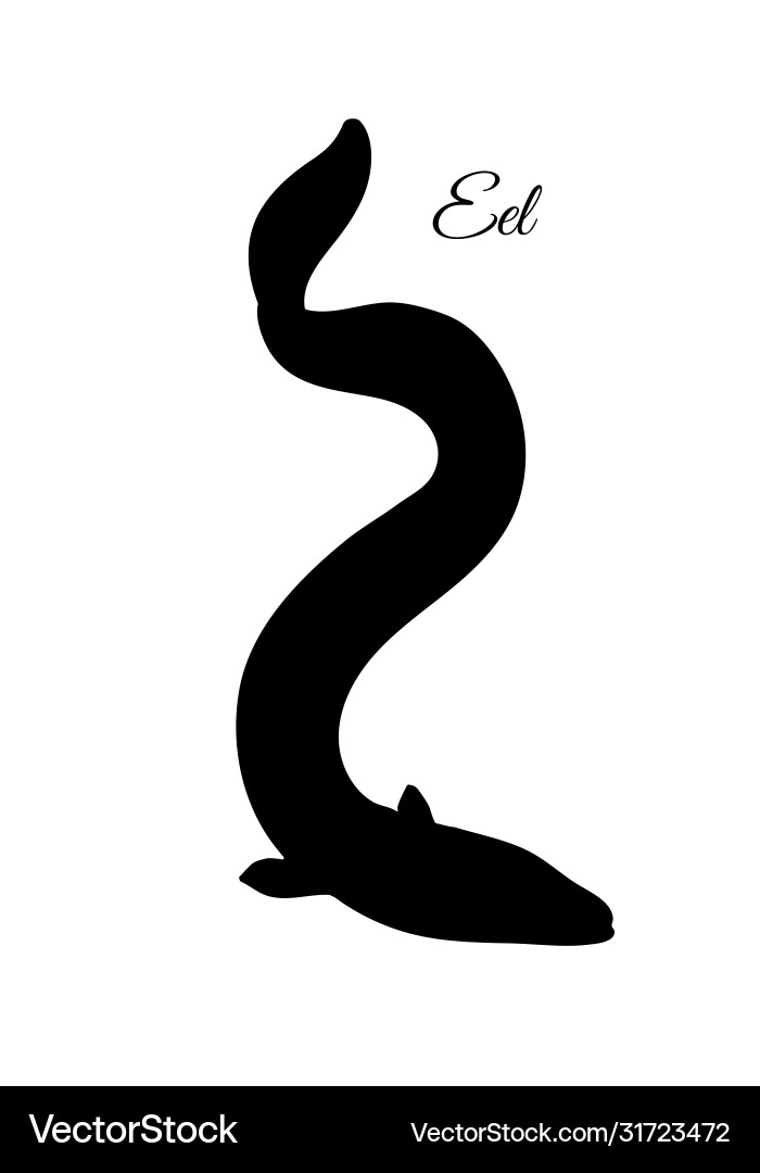 Silhouette japanese eel Royalty Free Vector Image