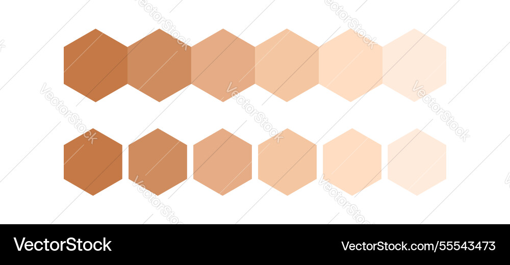 Human skin tones palette cosmetics skin tone Vector Image