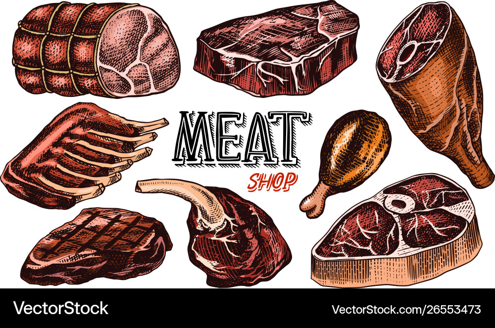Meat Cuts and Sketches Royalty Free Vector Image