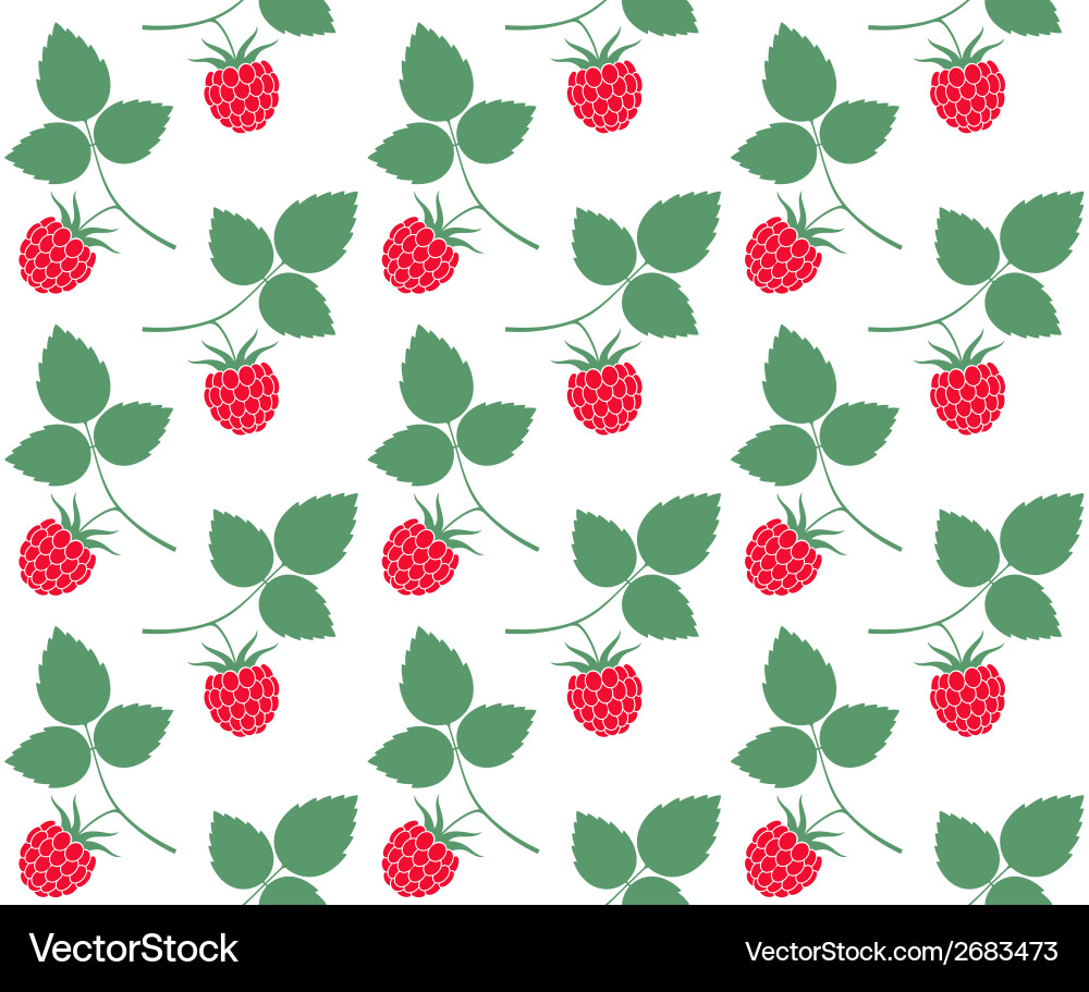 Raspberries pattern Royalty Free Vector Image - VectorStock