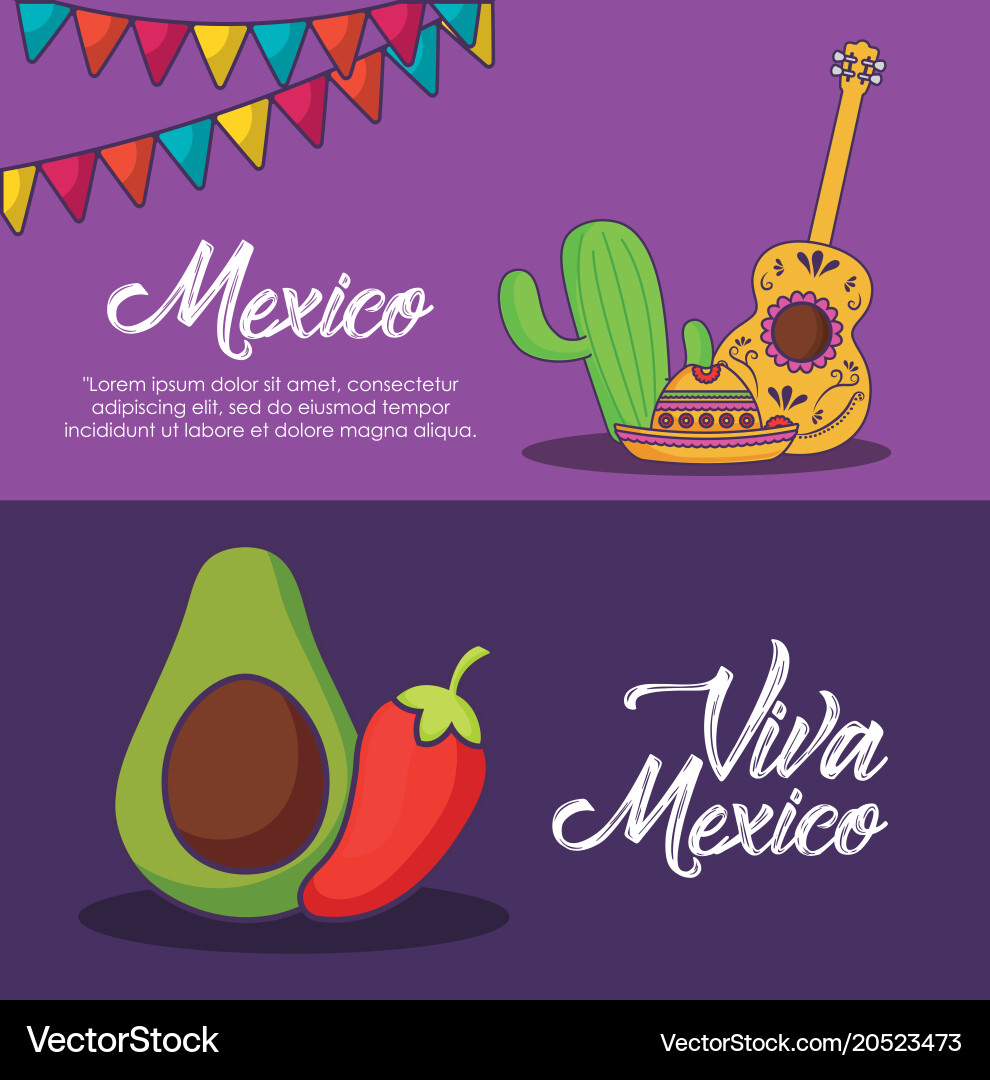Viva mexico design Royalty Free Vector Image - VectorStock