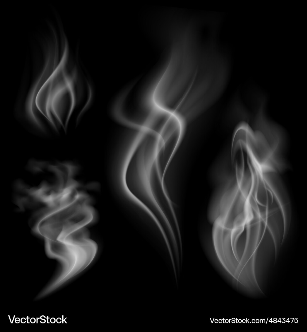 Detailed Smoke Patterns Royalty Free Vector Image