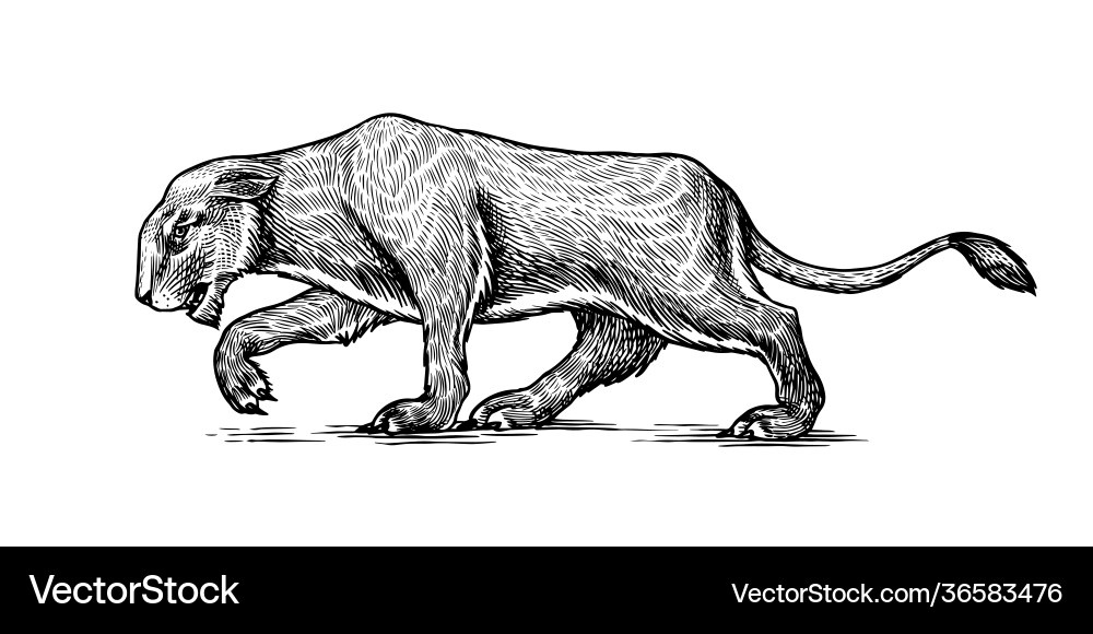 Extinct Cave Lion
