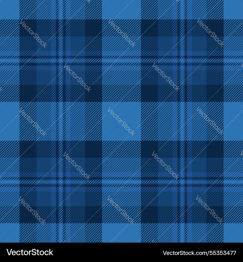 Hispanic tartan check fabric native seamless Vector Image