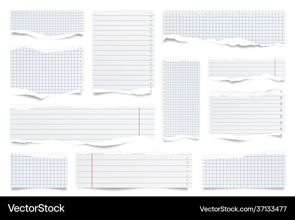 Ripped paper strips isolated on white background Vector Image