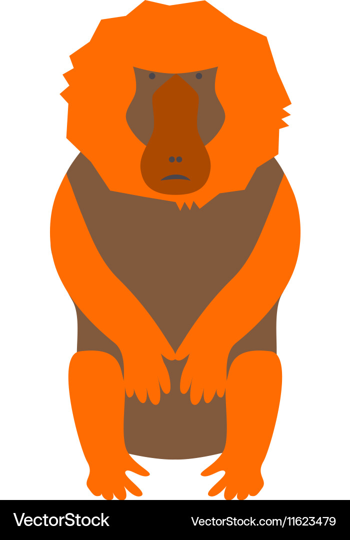 Monkey baboon Royalty Free Vector Image - VectorStock