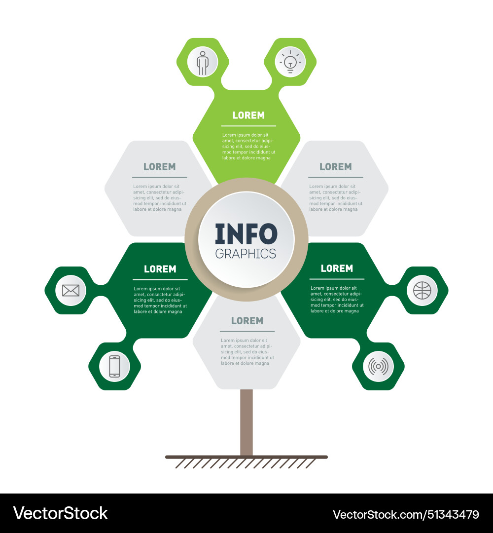 Vertical green infographics tree of development Vector Image