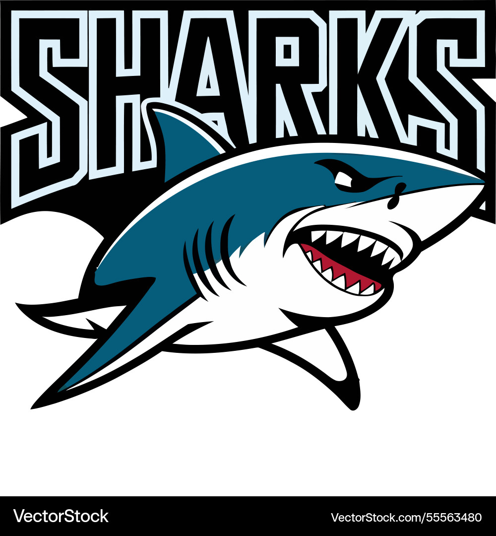Bold shark design Royalty Free Vector Image - VectorStock